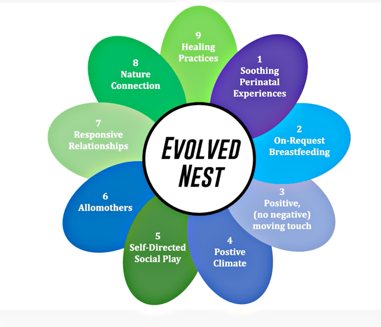 What Happened To You? A Book Review – Kindred Media