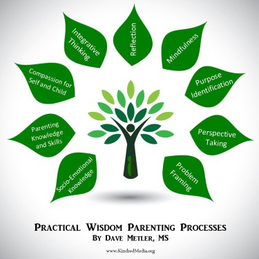 The Wise Parent Study Identifies Nine “Practical Wisdom” Processes ...