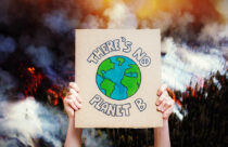 Same Planet, Different Worlds: How Cultural Creatives Are Bringing ...